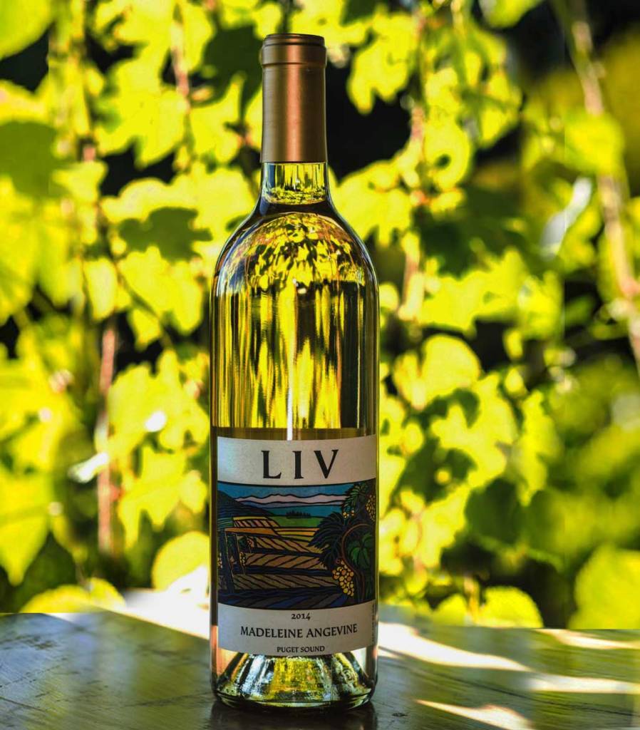 Madeleine Angevine – Lopez Island Vineyards