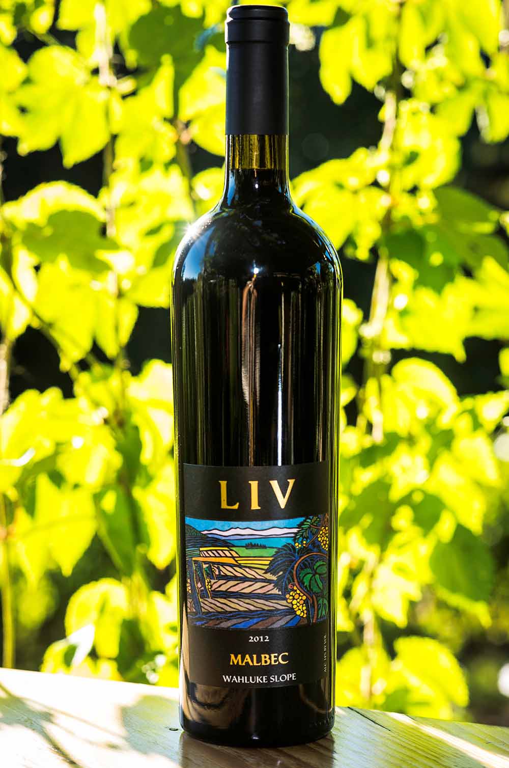 Malbec – Lopez Island Vineyards